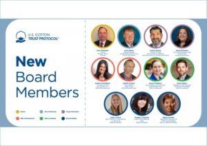 Cotton - Textile Insights