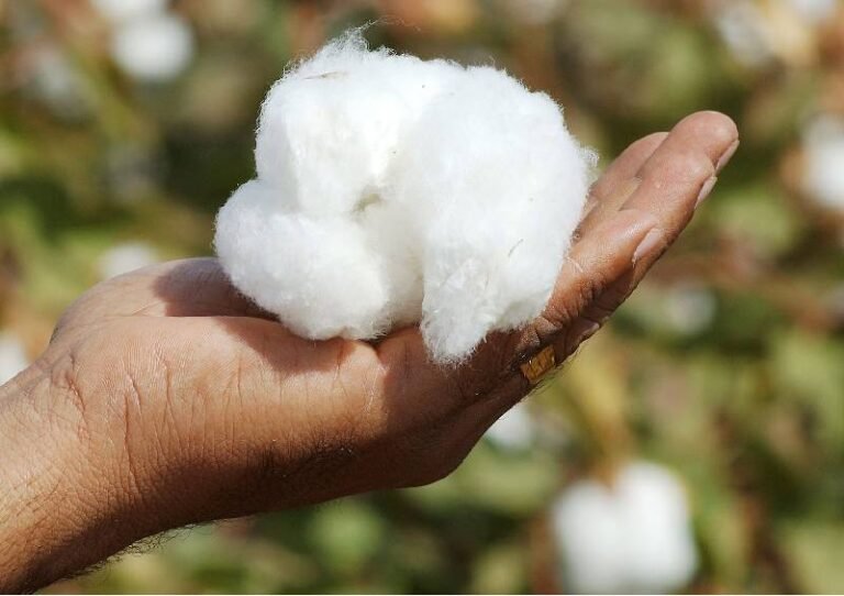 ICAC Study Analyzes Global Cotton Water Footprint During 2020-2024 ...
