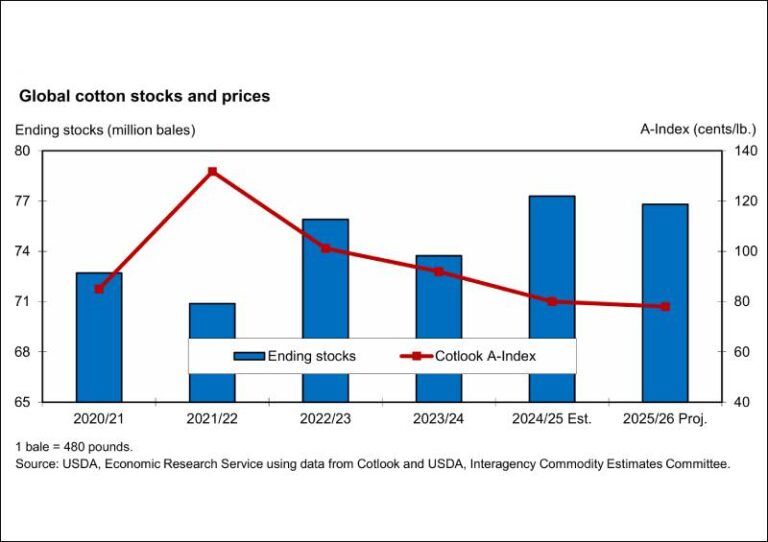 USDA Projects Lower Global Cotton Stocks In 2025/26 As Mill Use Rises ...