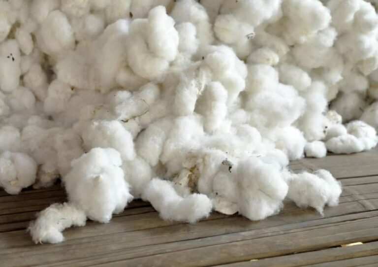 Cabinet Approves Rs 1,718 Crore MSP Support To CCI For 2023–24 Cotton ...