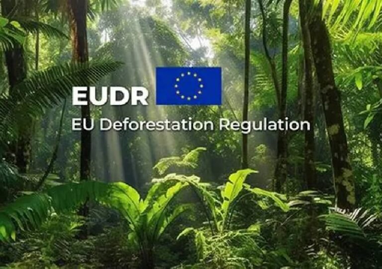 EU Council And Parliament Agree On Simplified Deforestation-Free ...
