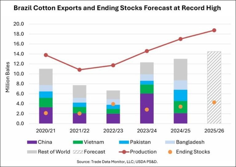 Brazil Cotton Exports & Closing Stocks To Reach Record High In 2025/26 ...