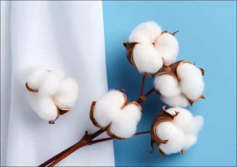 U.S. Cotton Trust Protocol Launches Forensic Verification Programme ...